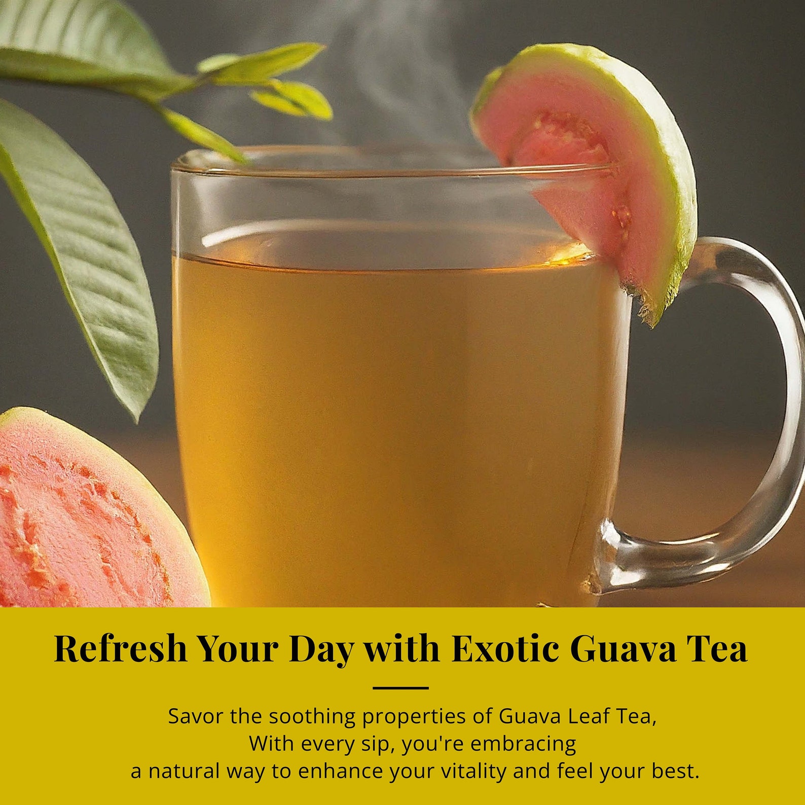 Fresh Guava Leaves, Guava Tea, All Natural Leaves, Te Hojas De Guayaba ...