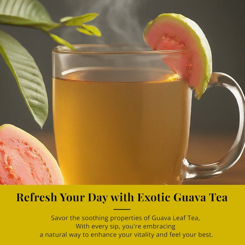 Fresh Guava Leaves, Guava Tea, All Natural Leaves, Te Hojas De Guayaba ...