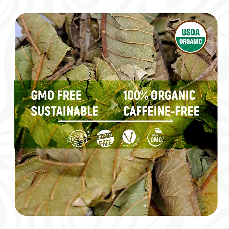 Organic Guava Leaves, Guava Tea, 100% Pure Natural Guava Leaf, Hojas De ...