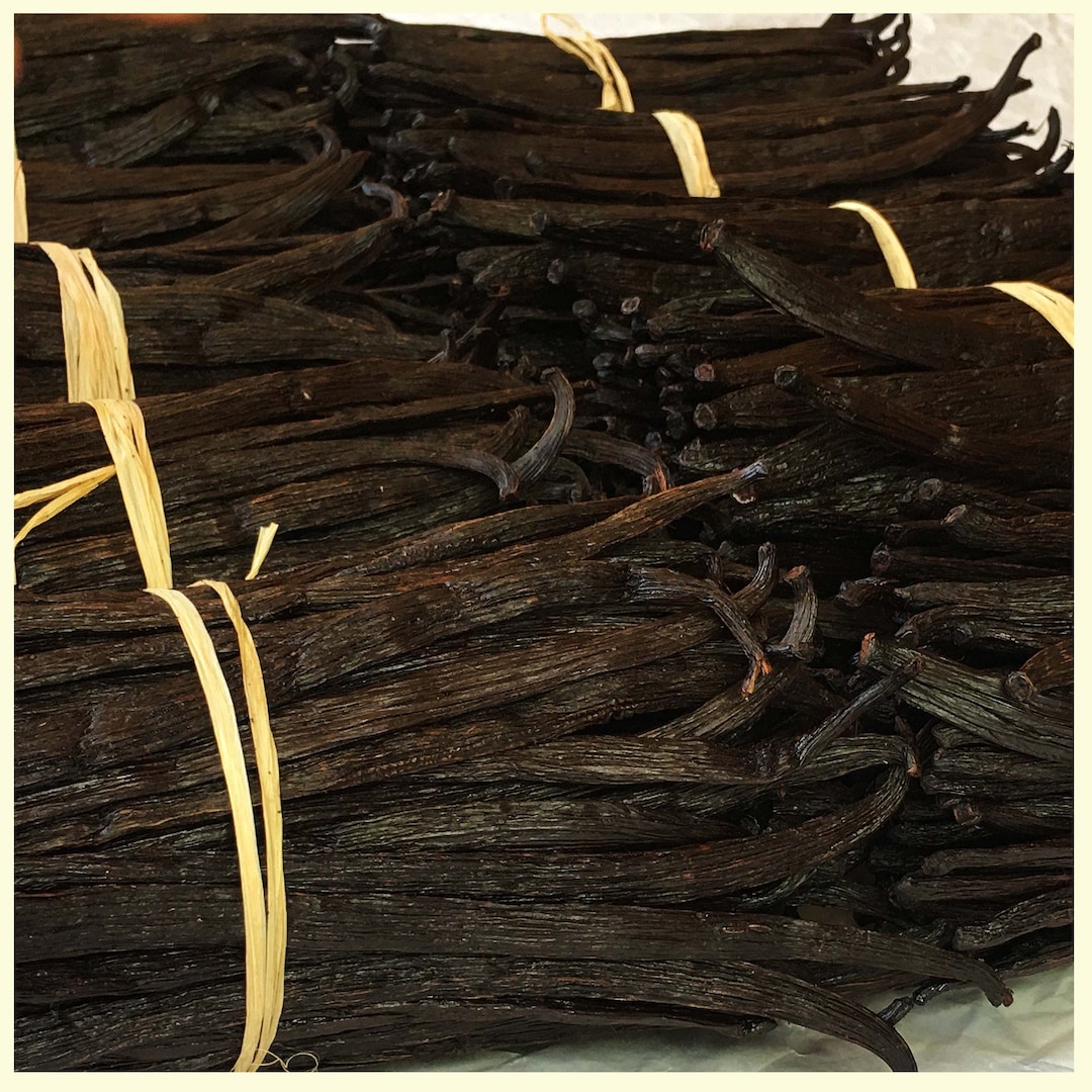Vanilla Bean 1 LB, Grade A Bulk Vanilla Beans Pods, Vanilla Extract 68 ...