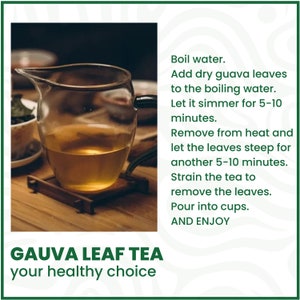 Organic Guava Leaves, Guava Tea, 100% Pure Natural Guava Leaf, Hojas De ...