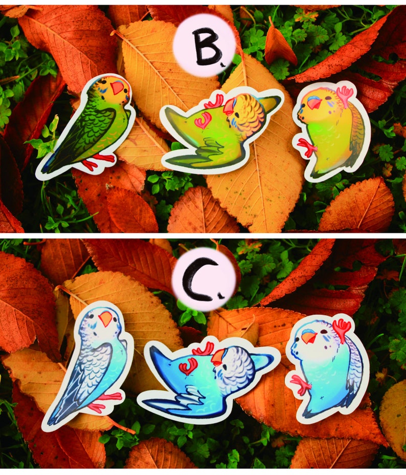 PARROT STICKER PACK X3 / Cockatiel Conure Budgies - Etsy