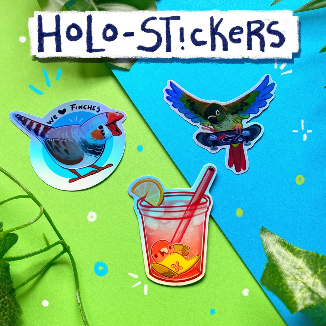 Bird Holographic Stickers Cute Stickers , Bird Memes, Funny Parrots ...