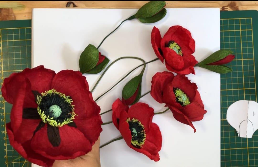 Crepe Paper Poppy Video Course - Etsy