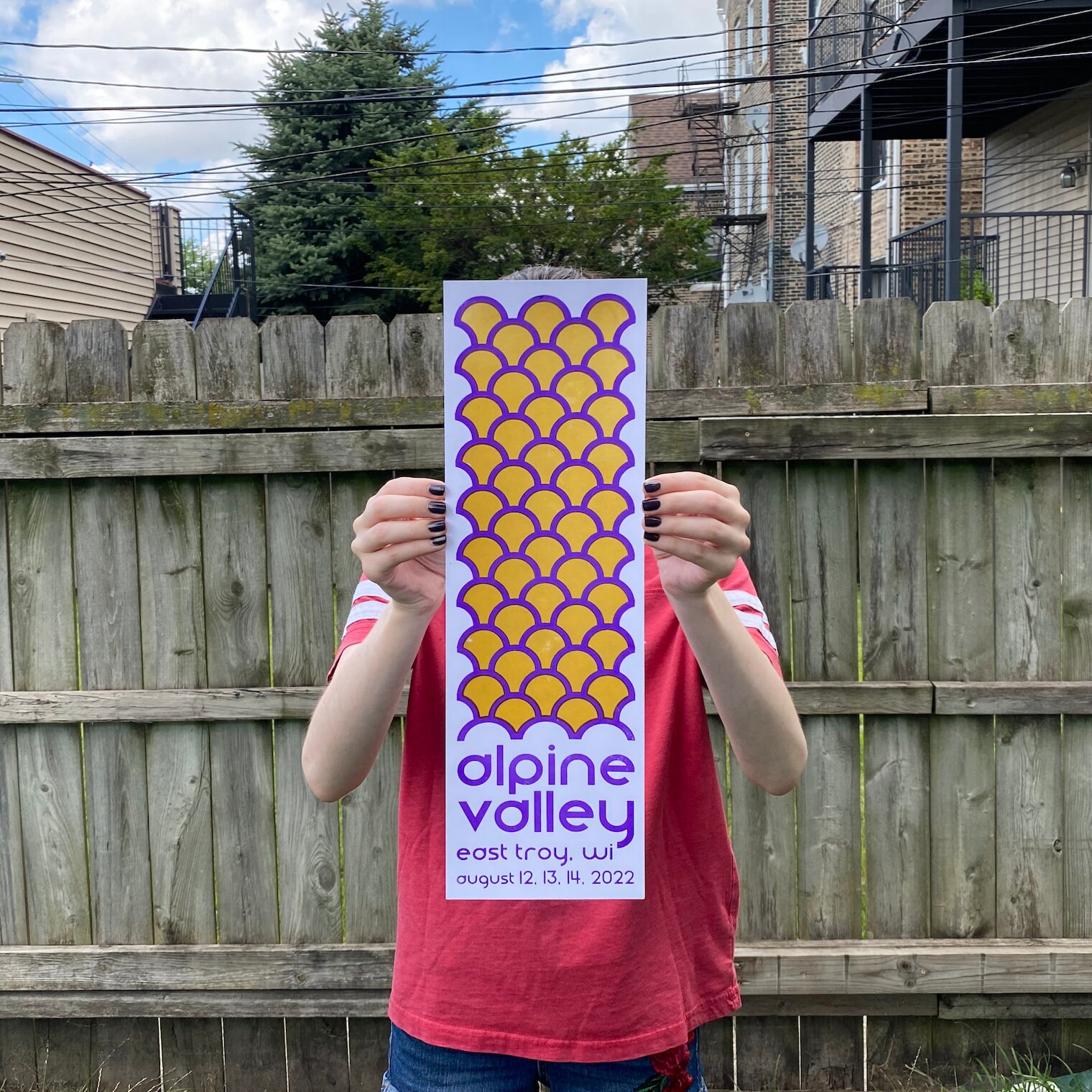 Phish • Alpine Valley Poster • 2022 Summer Tour - Etsy