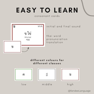 Thai Alphabet Flashcards Bundle Consonants and Vowels - Etsy.de