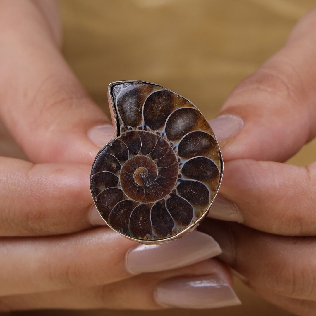 Natural Ammonite Ring, 925 Sterling Silver Ring, Statement Ring, Boho ...