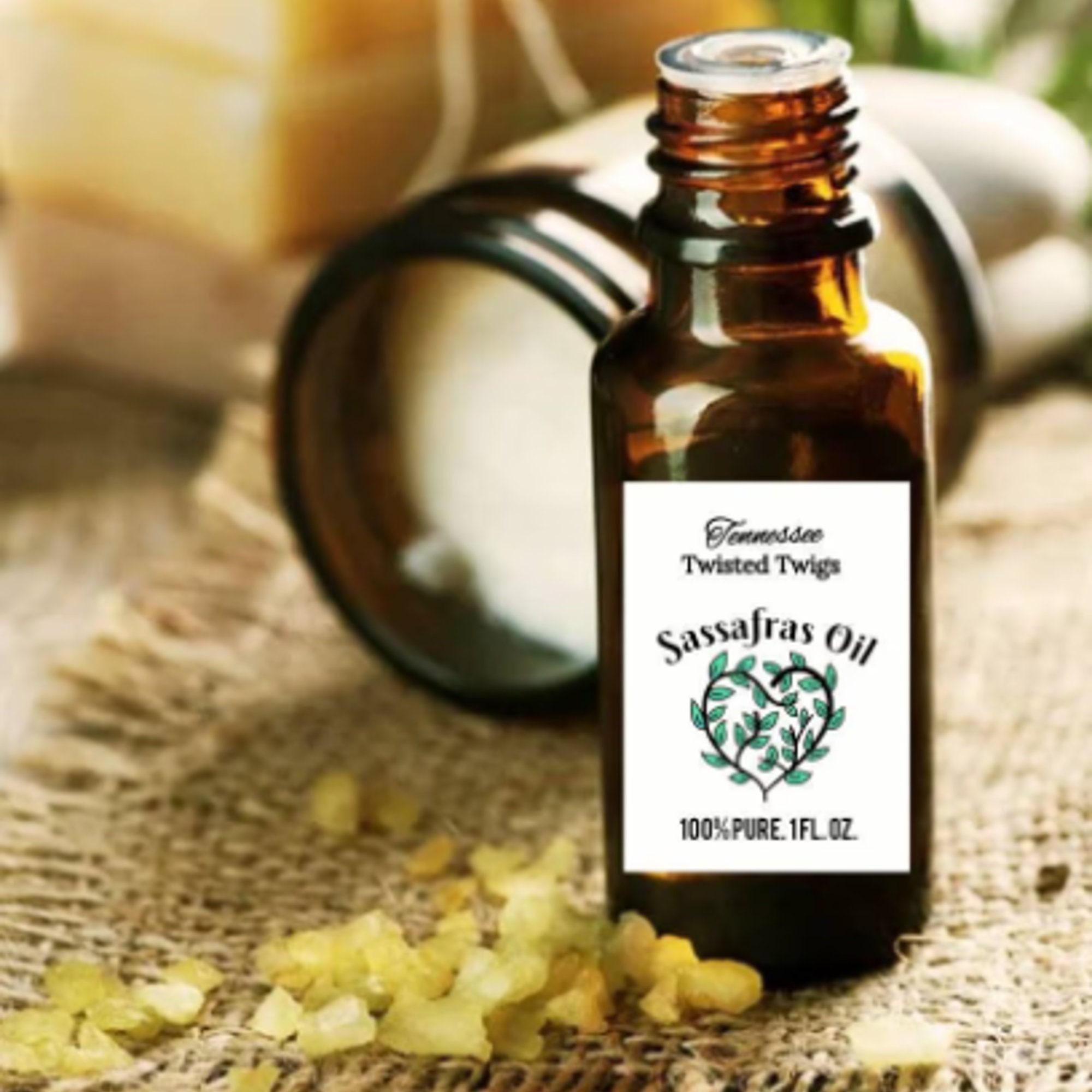 Sassafras Oil 1 Oz Pure All Natural Fresh Water Steam - Etsy