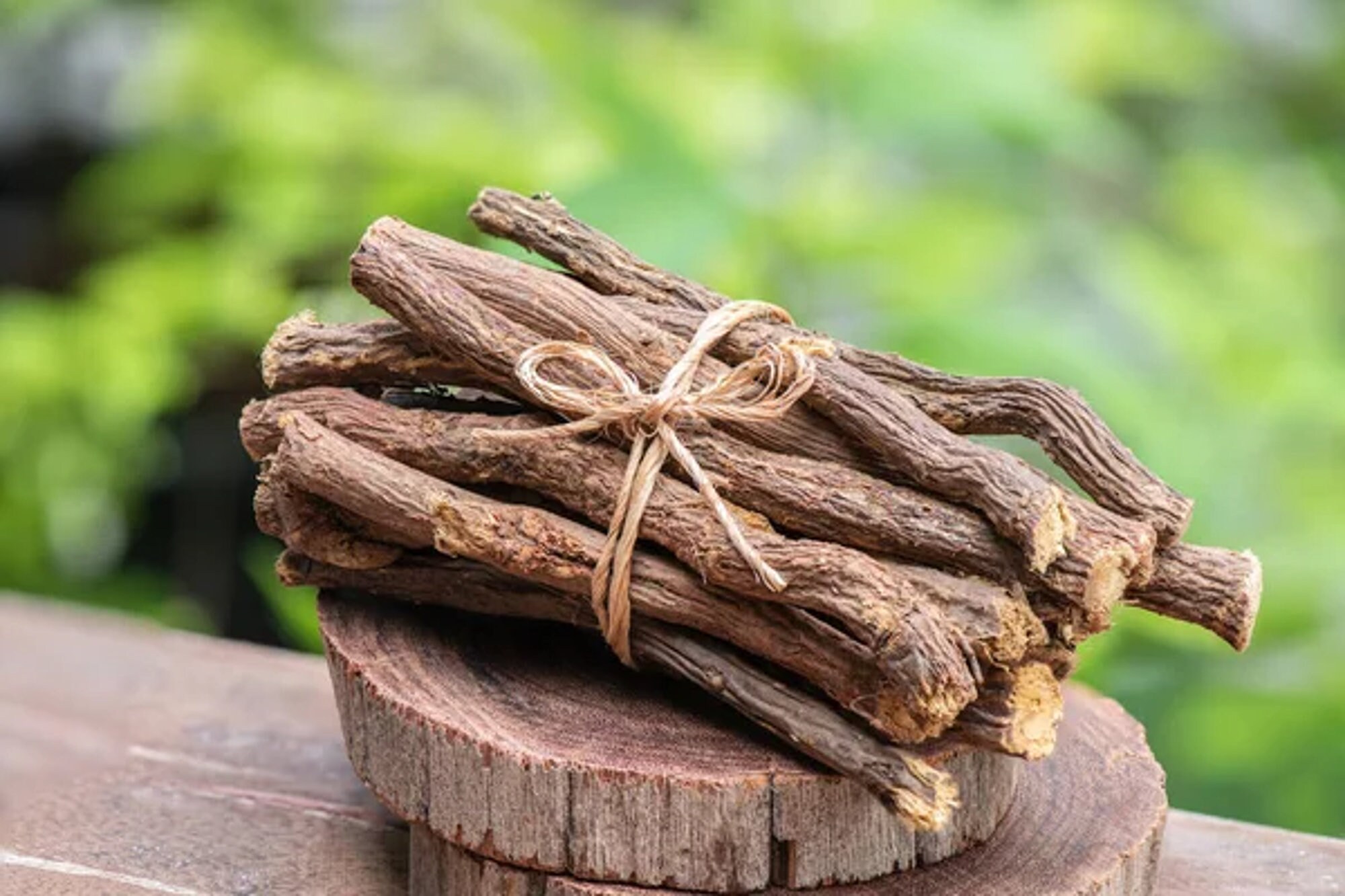 Sassafras Root Bark Herbal Sassafras Tea Gift for Dad - Etsy UK