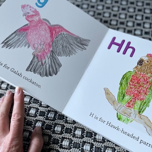 Parrot Abc's Children's Board Book - Picture Book - English Alphabet ...