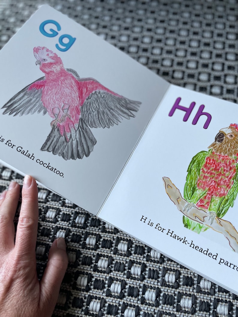 Parrot Abc's Children's Board Book - Picture Book - English Alphabet ...