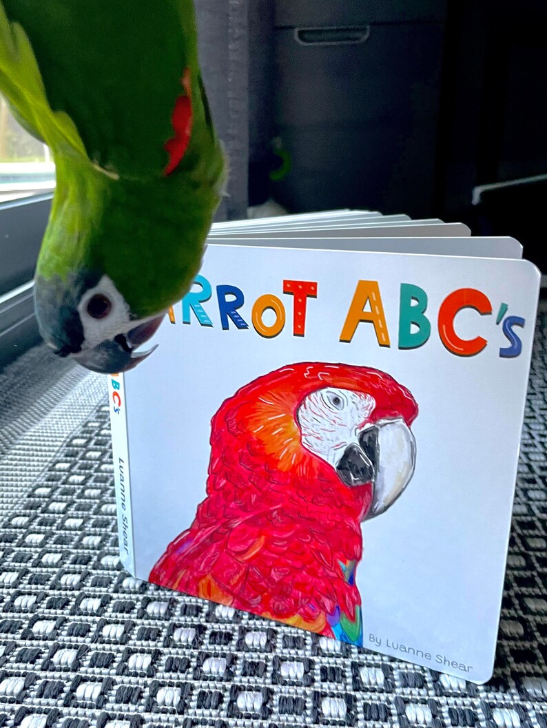 Parrot Abc's Children's Board Book - Picture Book - English Alphabet ...