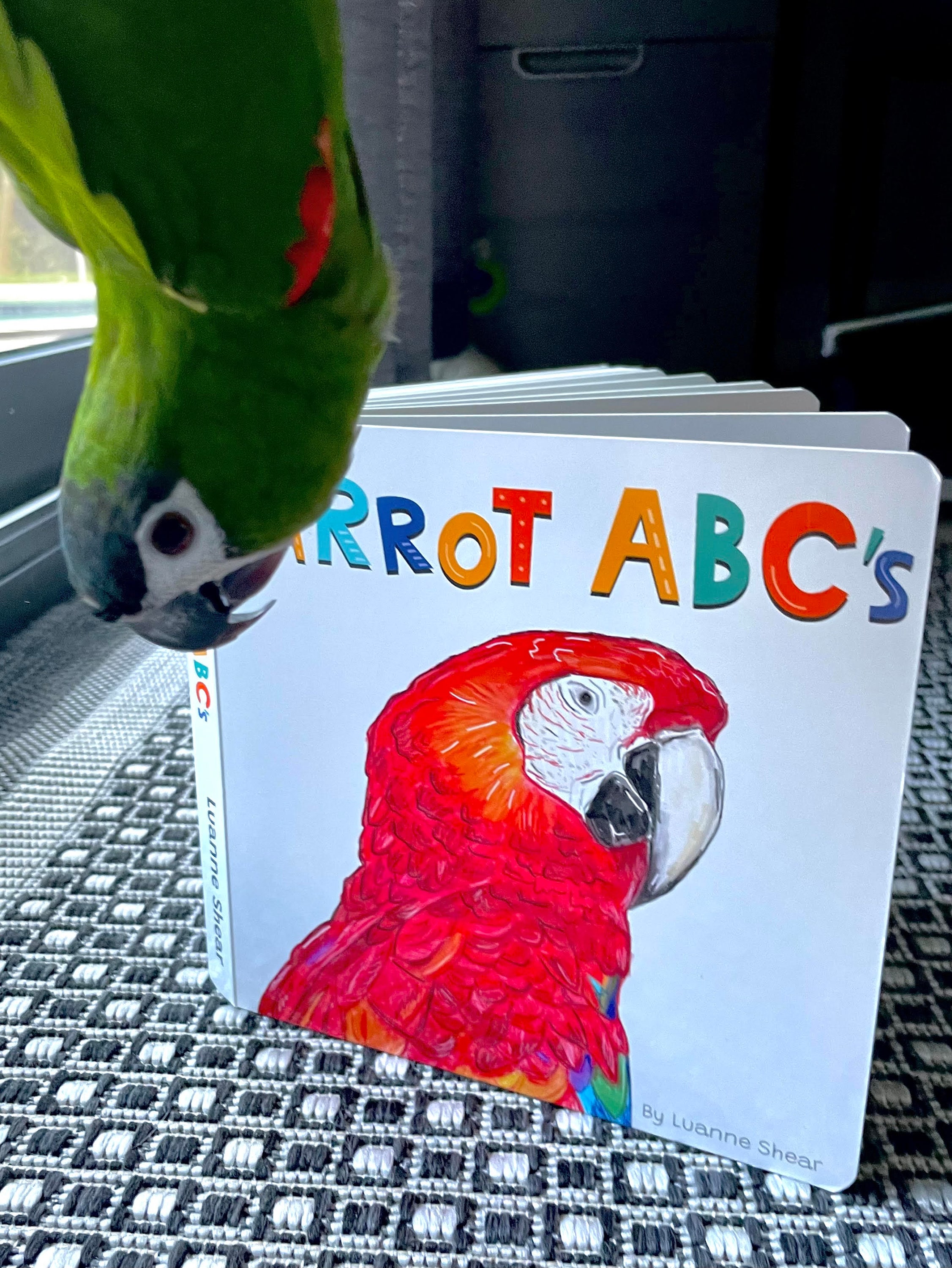 Parrot Abc's Children's Board Book - Picture Book - English Alphabet ...
