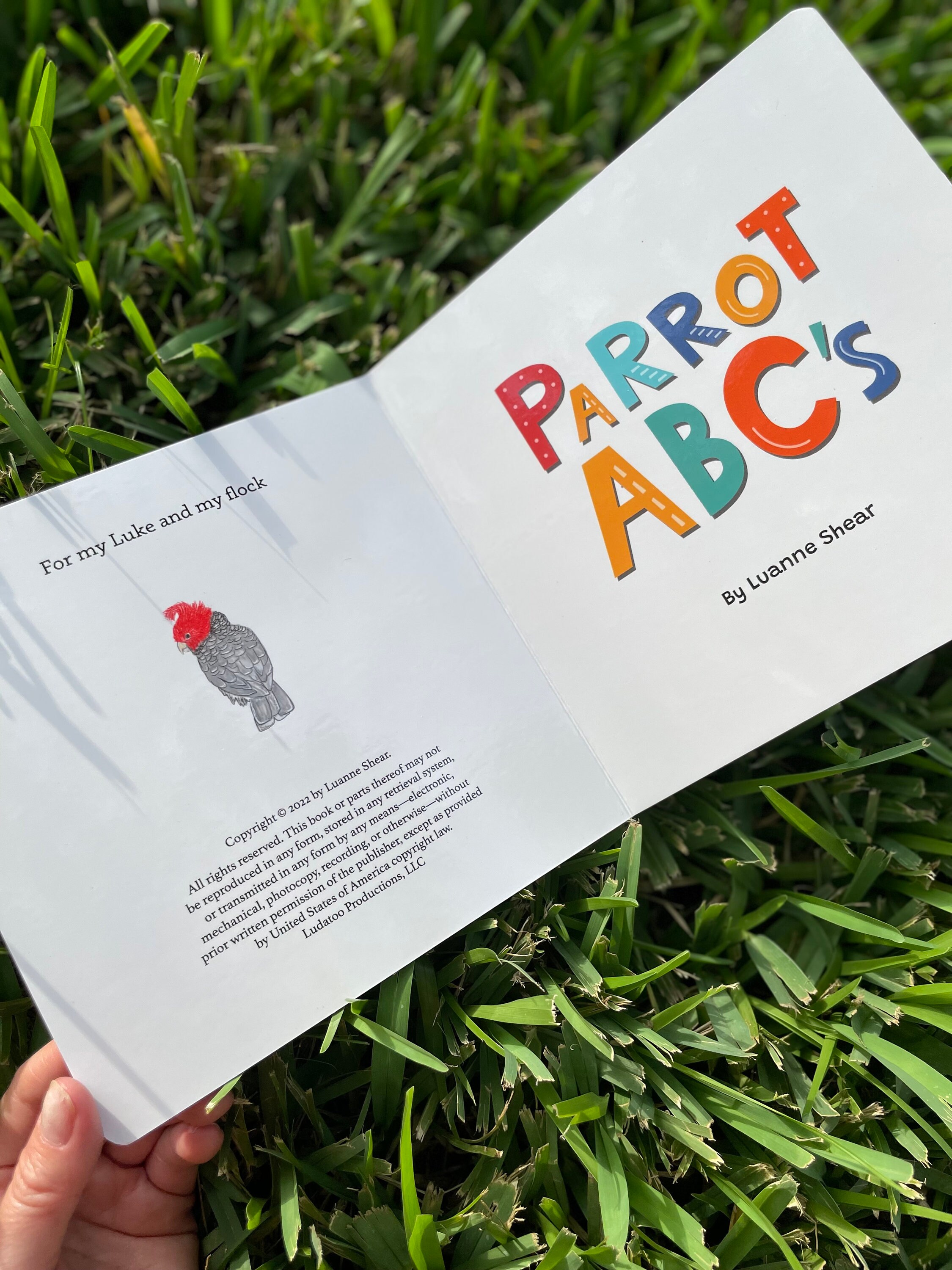 Parrot Abc's Children's Board Book - Picture Book - English Alphabet ...