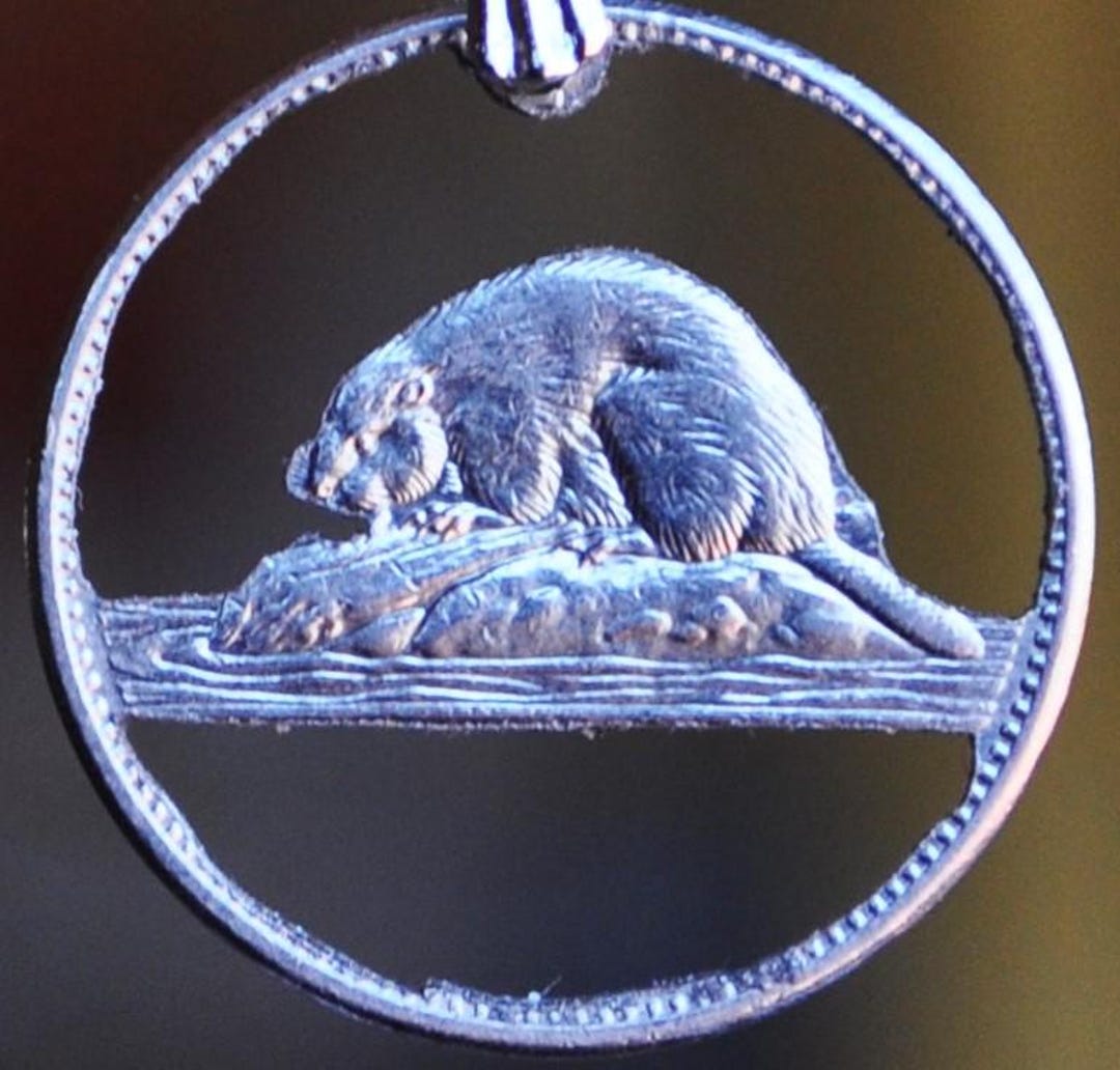 Beaver Cut Coin Pendant Necklace - Etsy