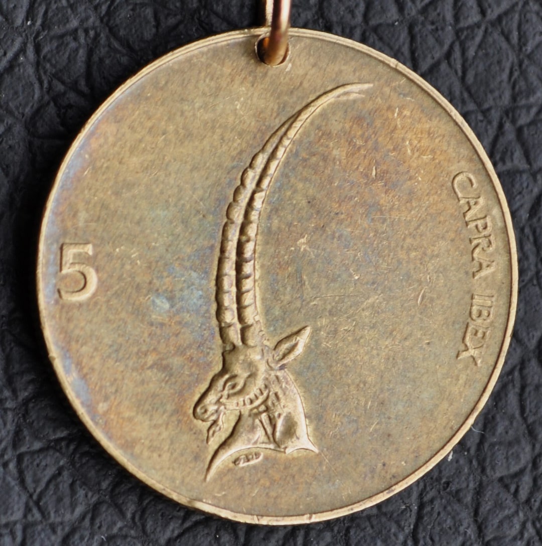 Slovenia Alpine Ibex Coin Pendant Necklace - Etsy