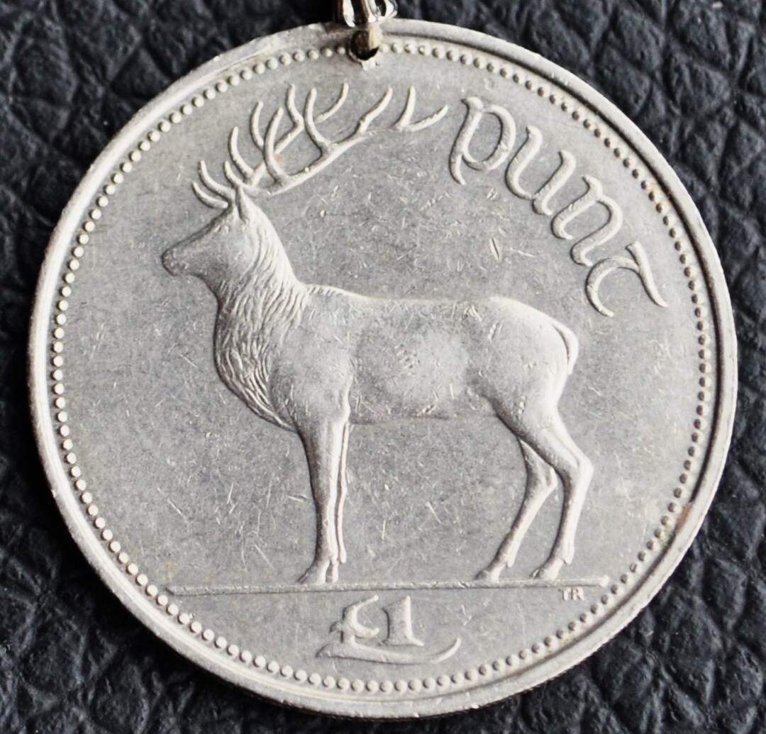 Ireland Large Reversable Red Deer/harp Coin Pendant Necklace - Etsy