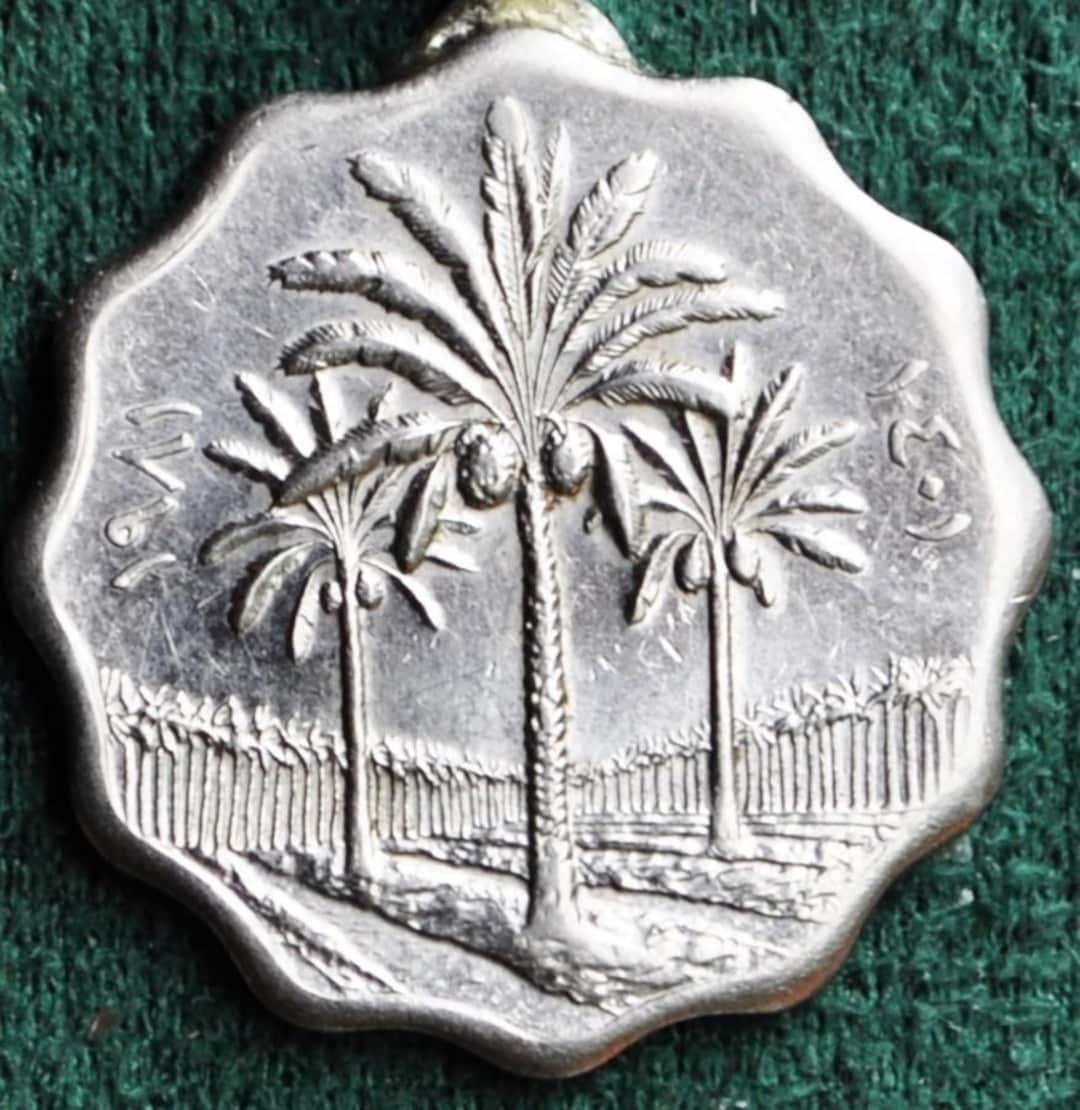 Iraq Palm Trees Coin Pendant Necklace - Etsy