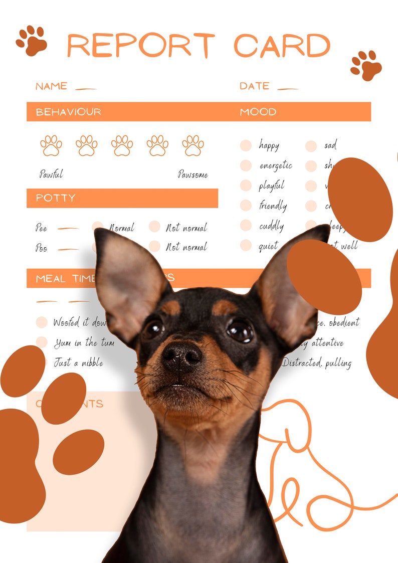 Customized Dog Report Card | Personalized Pet Assessment | Pet Behavior ...