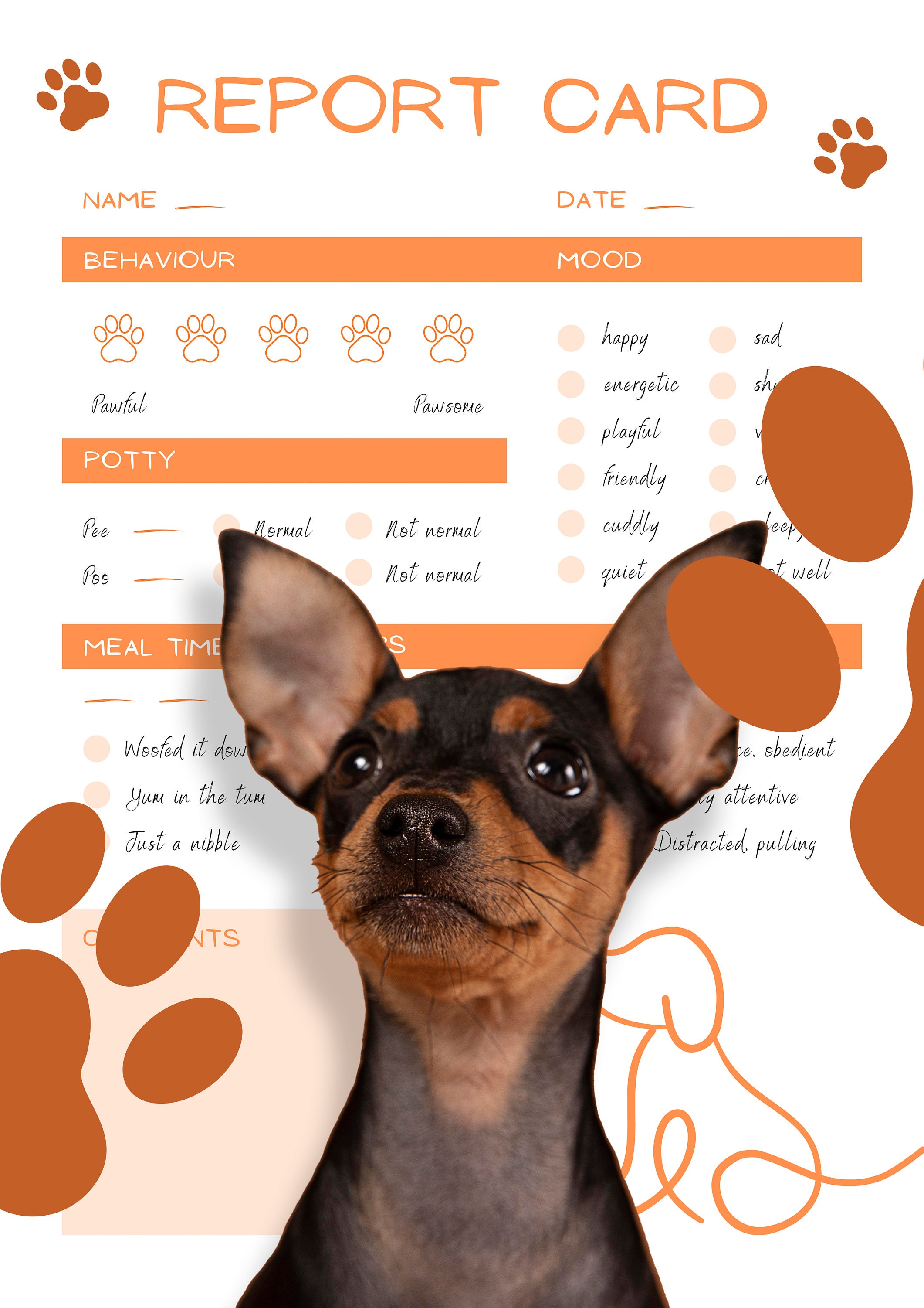 Customized Dog Report Card | Personalized Pet Assessment | Pet Behavior ...