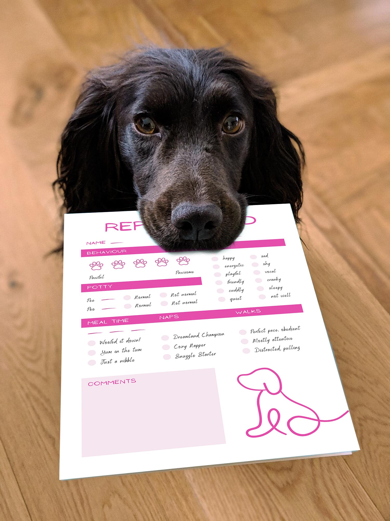 Customized Dog Report Card | Personalized Pet Assessment | Pet Behavior ...