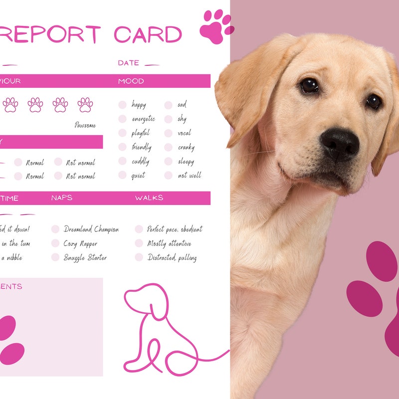 Dog Report Card - Etsy