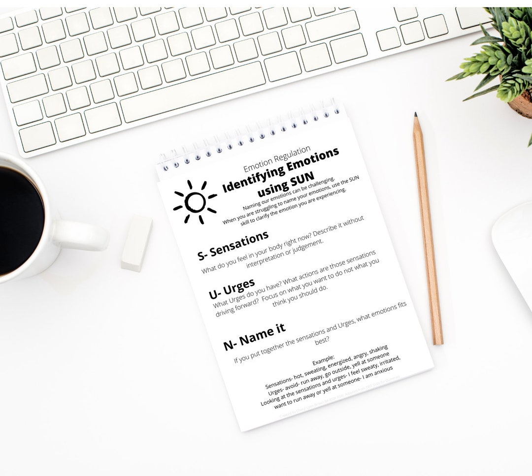 SUN Skill How to Identify Emotions - Etsy