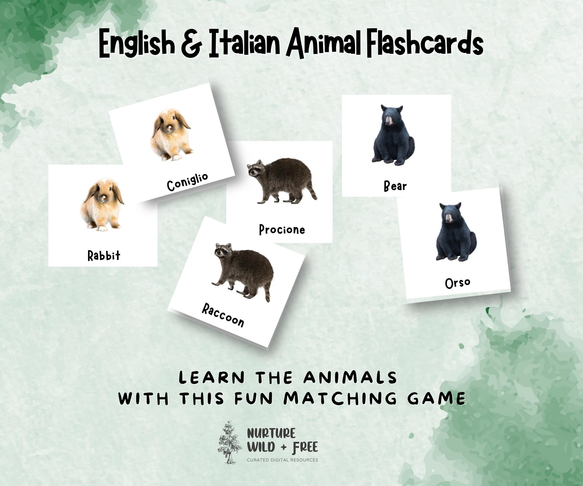 Italian and English Animal Flashcards Memory Game Bilingual - Etsy