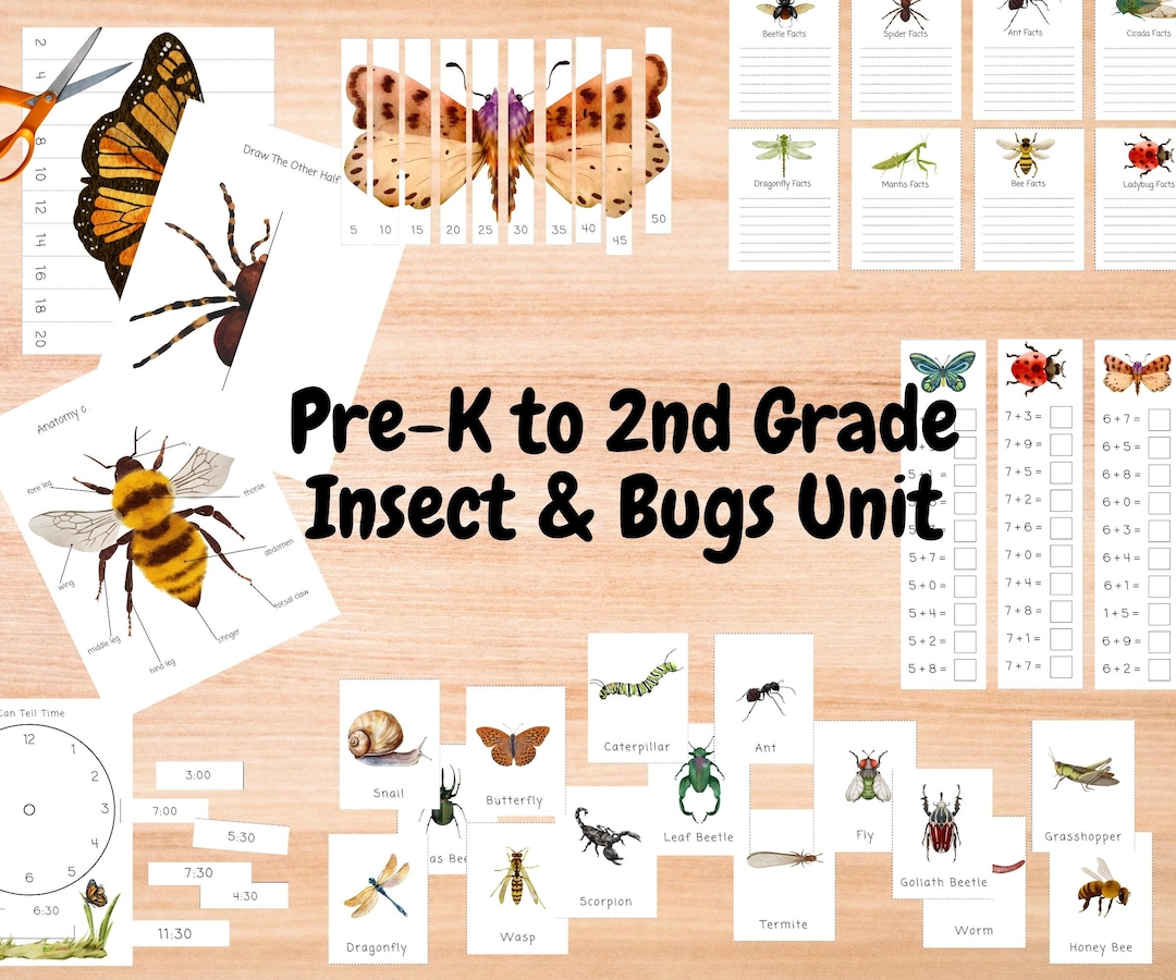Pre-k to 2nd Grade Insects and Bugs Unit, Math Practice, Telling Time ...
