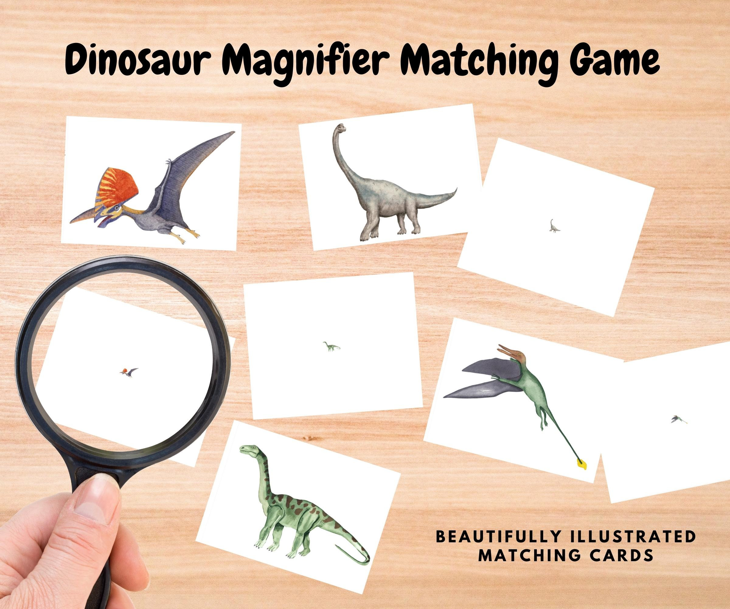 Dinosaur Magnify & Match Game, Homeschool, Learning Activity ...