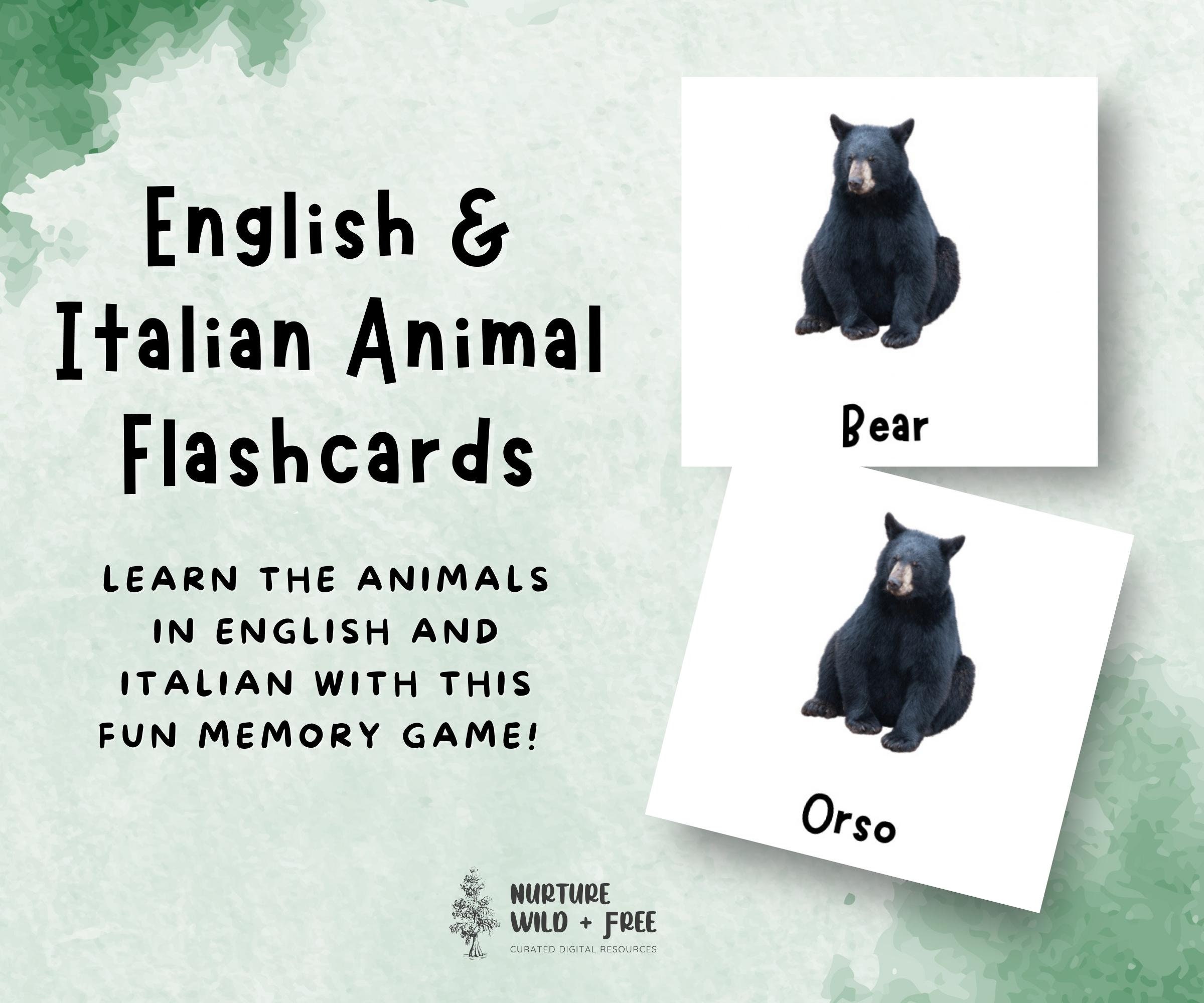 Italian and English Animal Flashcards, Memory Game, Bilingual Activity ...