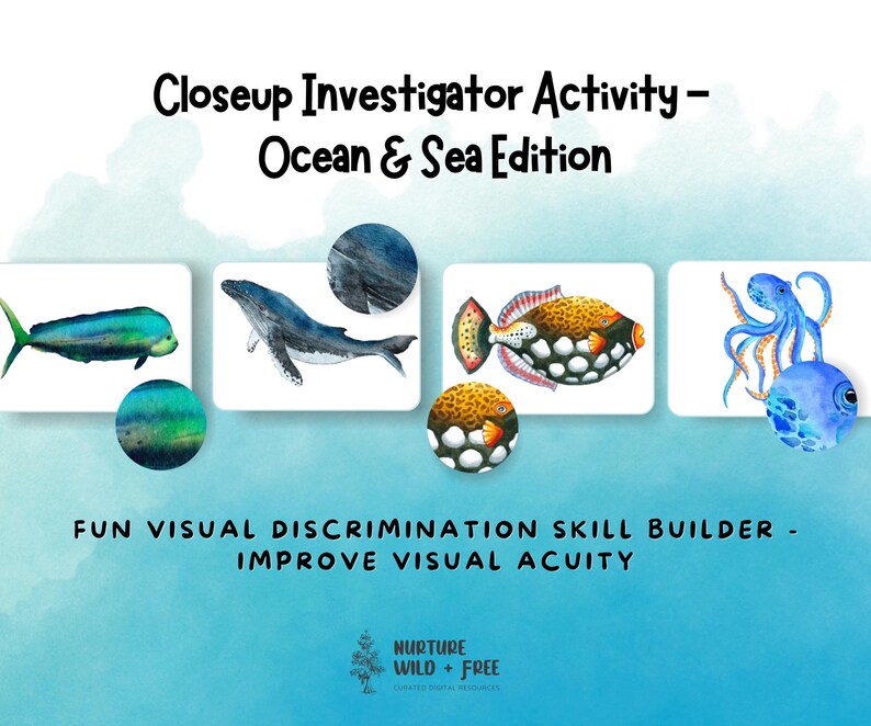 Beautifully Illustrated Ocean & Sea Flashcards, Closeup Investigator ...