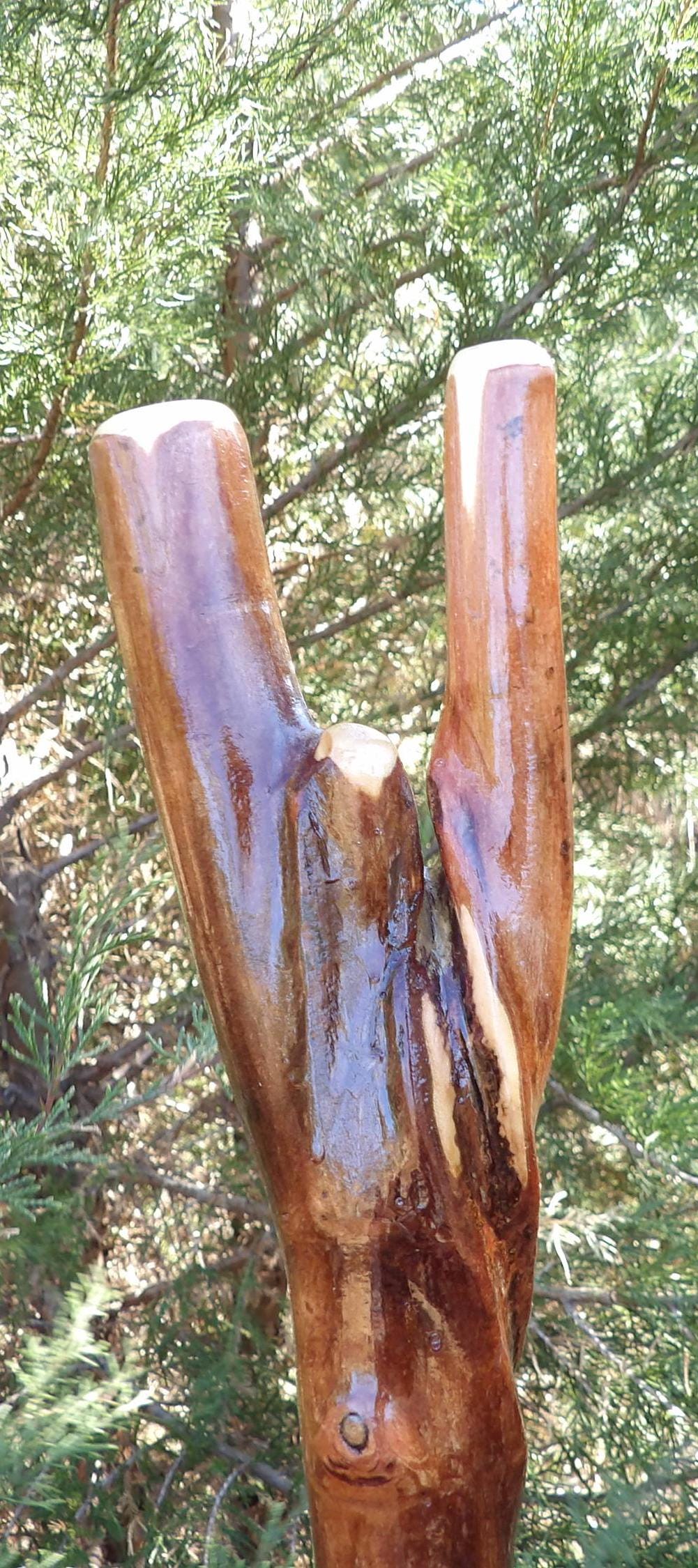 Maple Walking Stick 109.00 Thumb Rest Hiking Companion Pyrography Wood ...