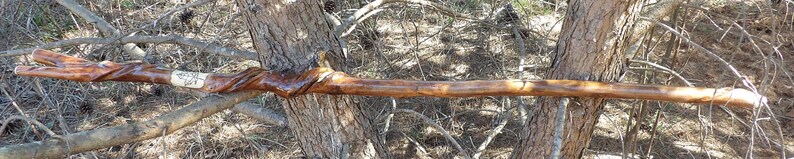Maple Walking Stick 109.00 Thumb Rest Hiking Companion Pyrography Wood ...