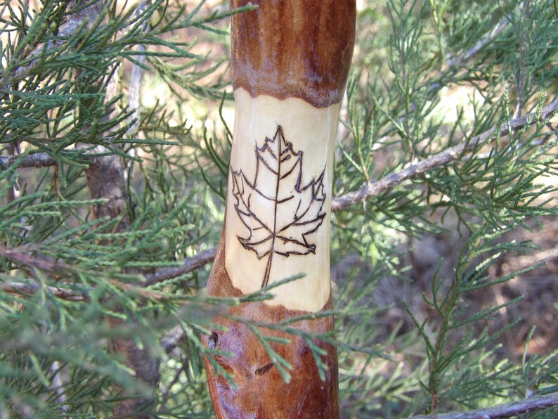 Maple Walking Stick 109.00 Thumb Rest Hiking Companion Pyrography Wood ...