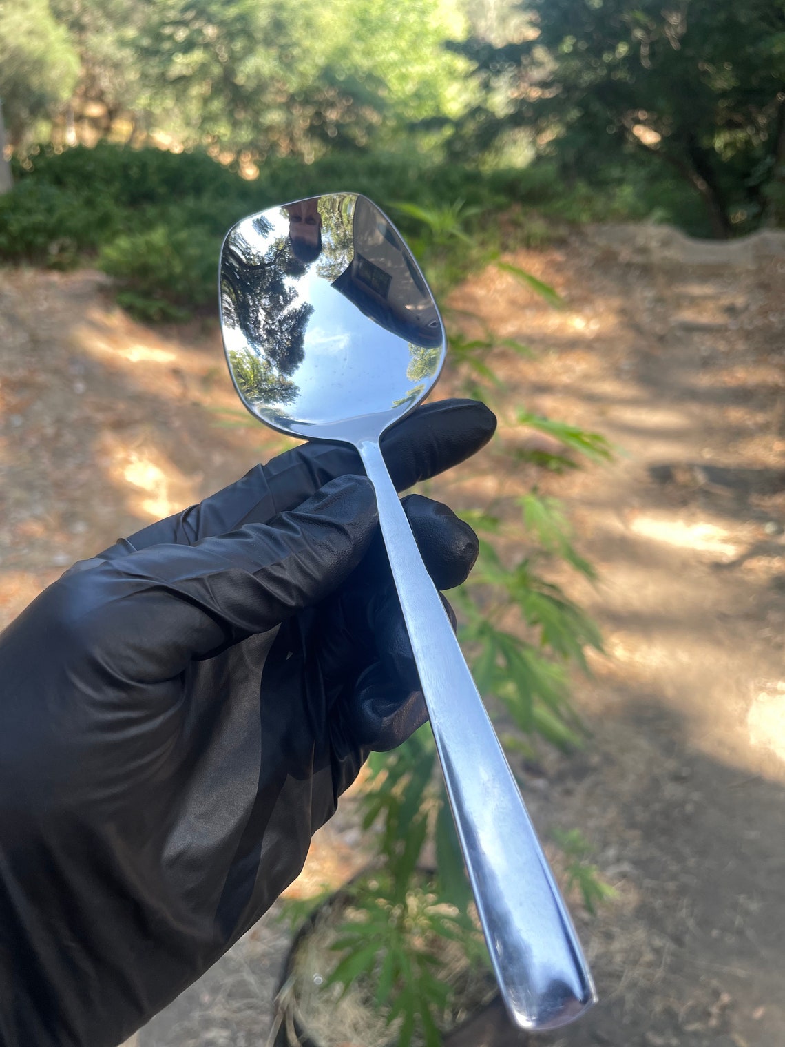 Flat Tip Stainless Steel Collecting Spoon + VIP Tech Access - Etsy