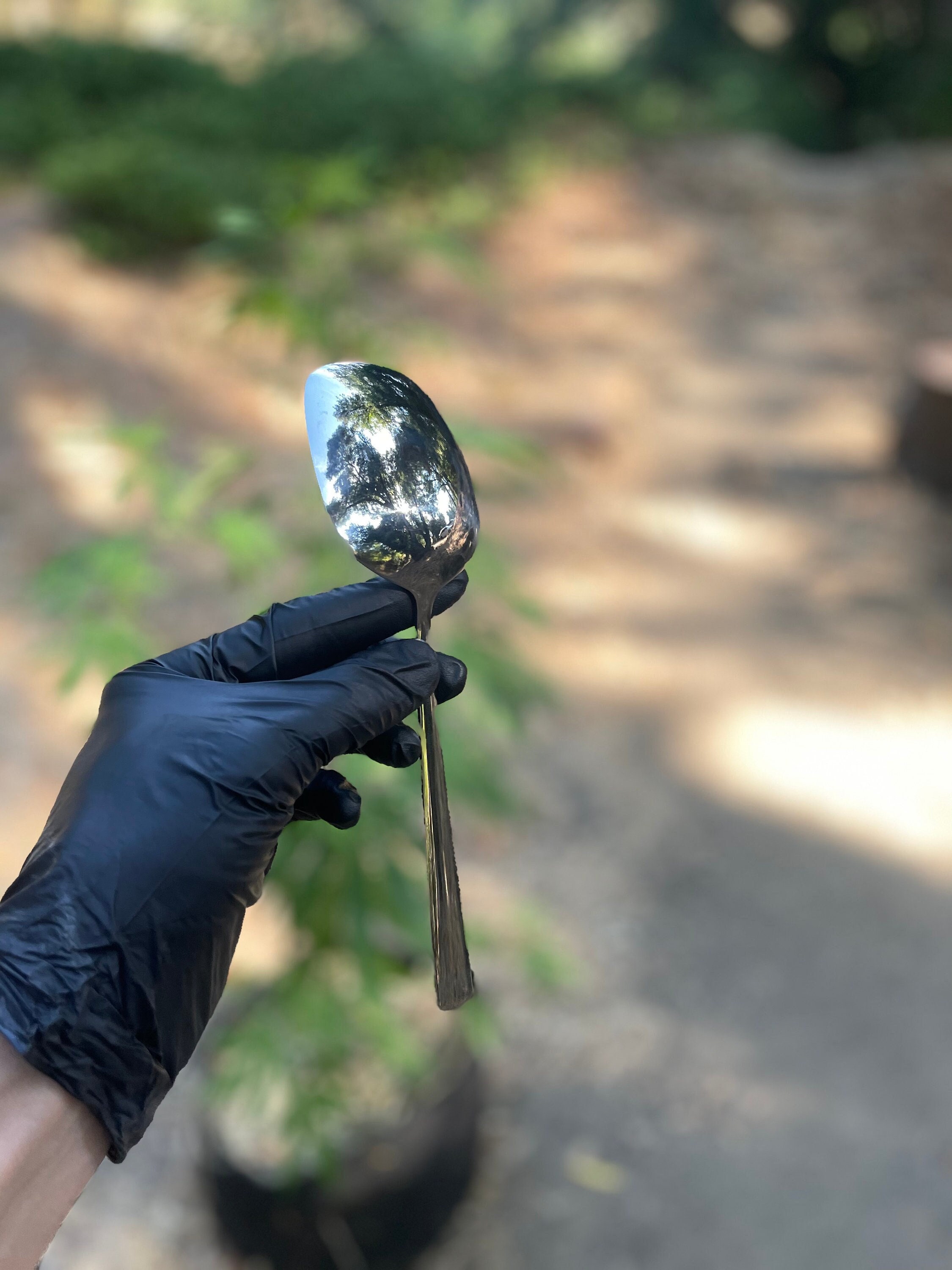 Flat Tip Stainless Steel Collecting Spoon + VIP Tech Access - Etsy