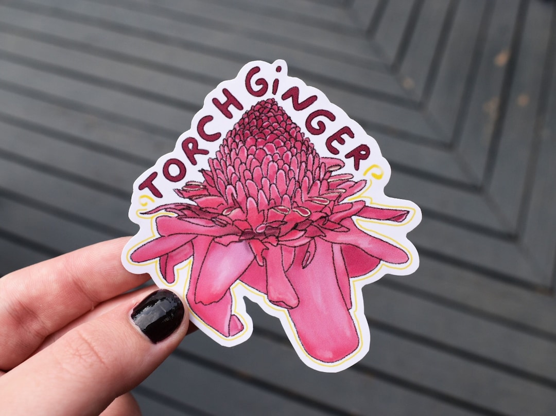 Torch Ginger Plant Sticker| Plant Stickers| Stickers| Nature Stickers ...