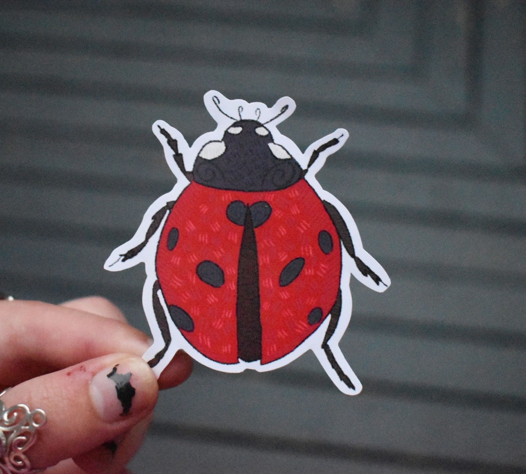 Ladybug Sticker| Insect Sticker| Ladybug| Sticker| Stickers| Nature ...