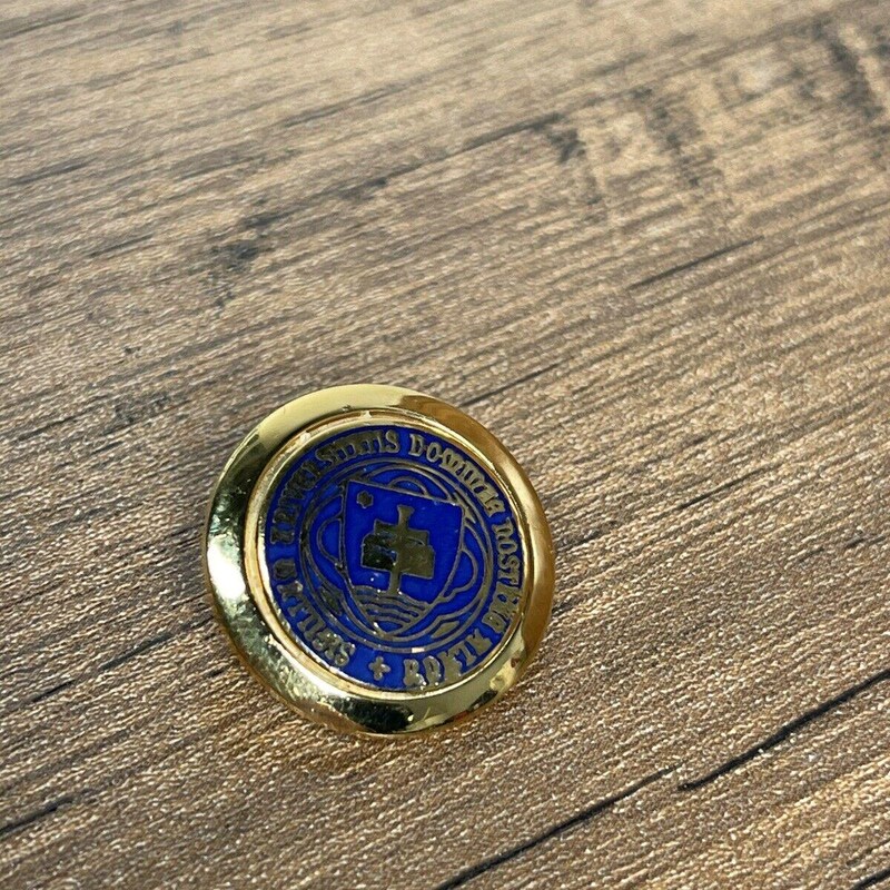 Notre Dame Pin - Etsy