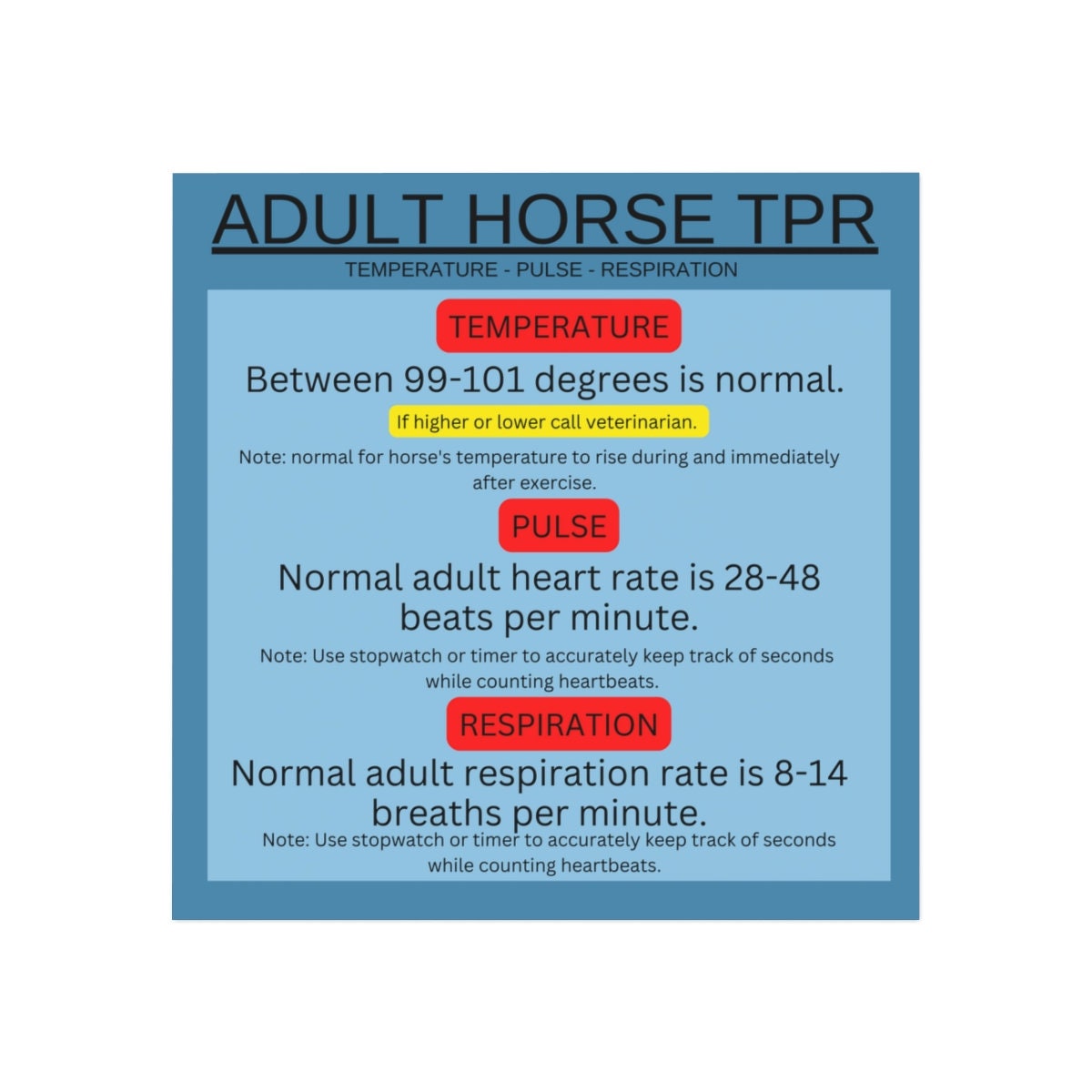 Adult Horse TPR Square Magnet Equestrian Necessity - Etsy