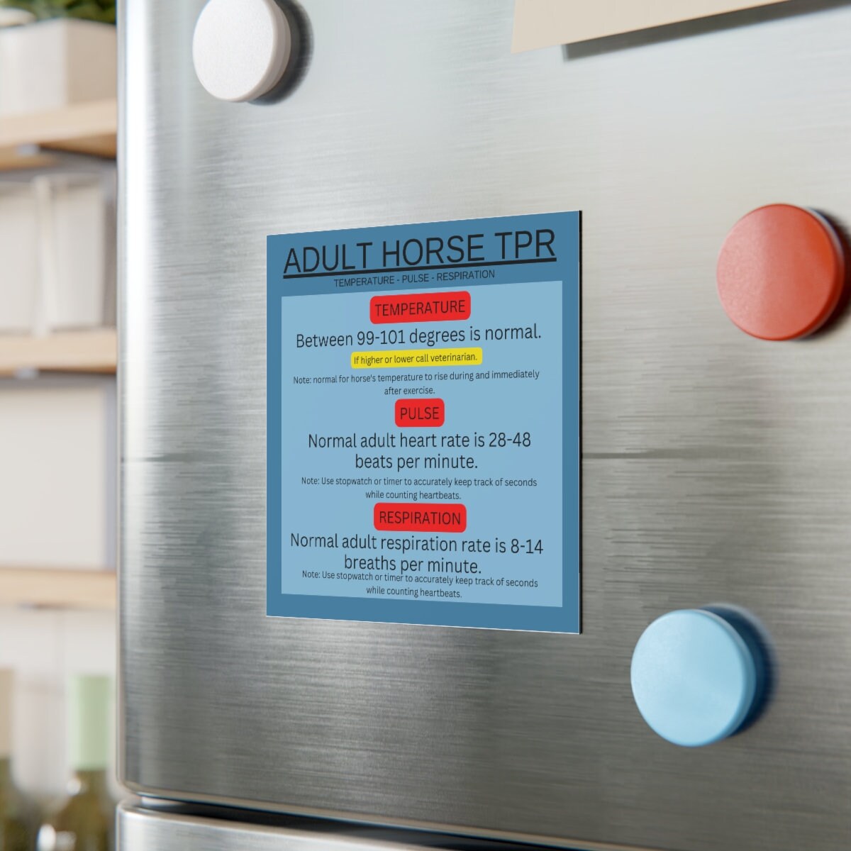 Adult Horse TPR Square Magnet Equestrian Necessity - Etsy