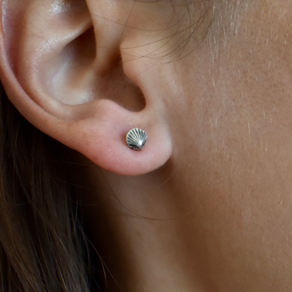 Shell Stud Earrings - Etsy