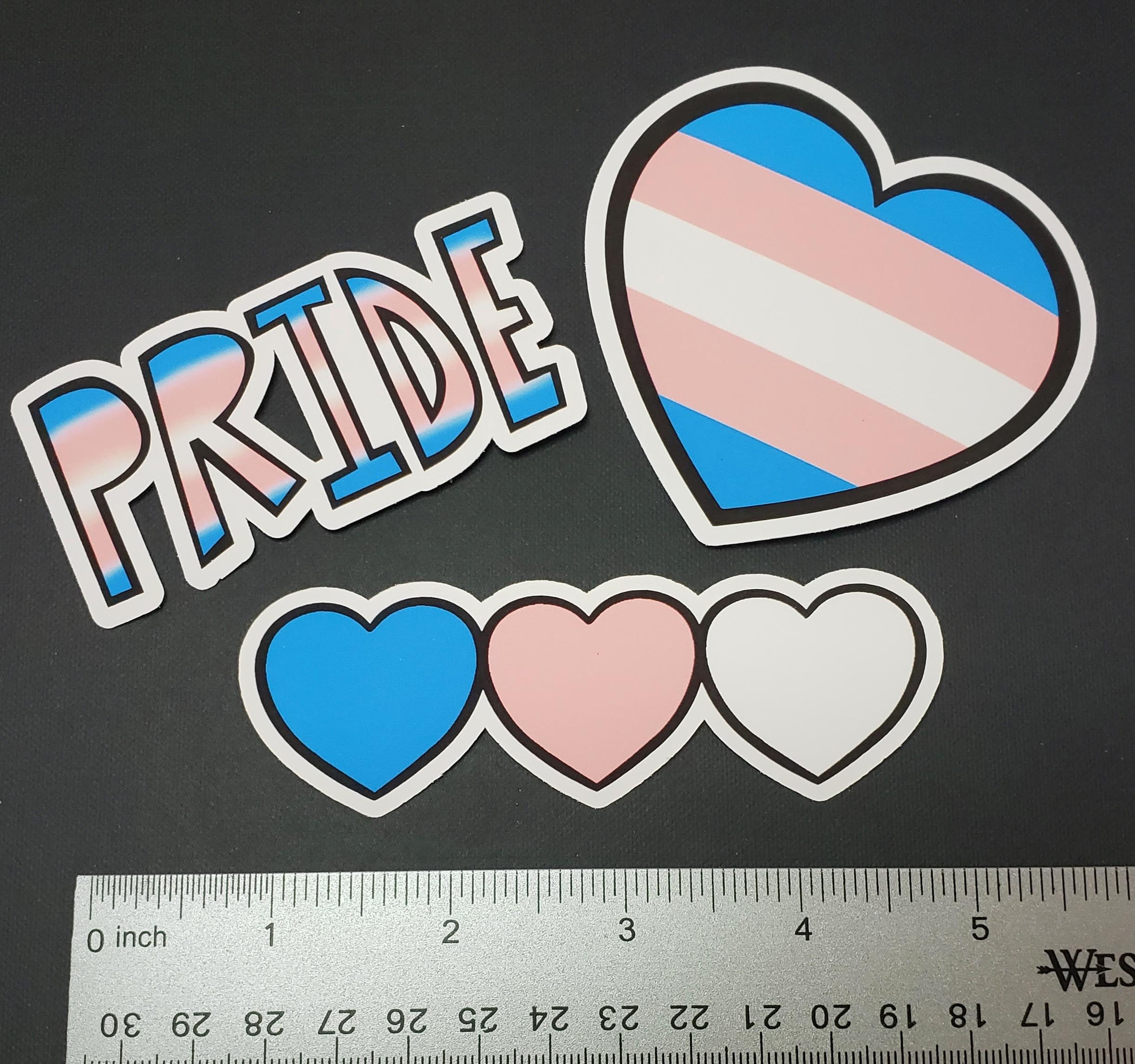 Transgender Pride Subtle Sticker Pack of 10 Trans Pride - Etsy