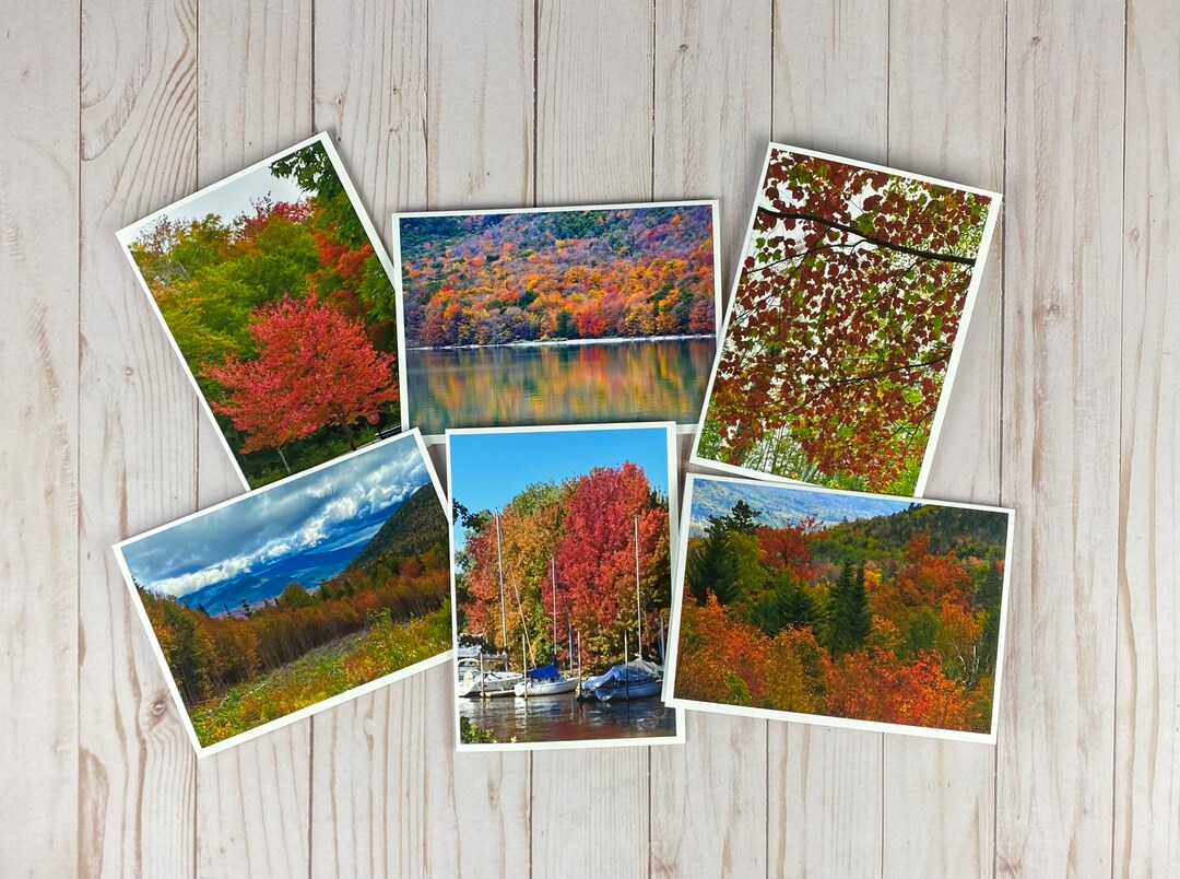 Box of 6 Fall Themed Cards, Blank Photo Cards - Etsy