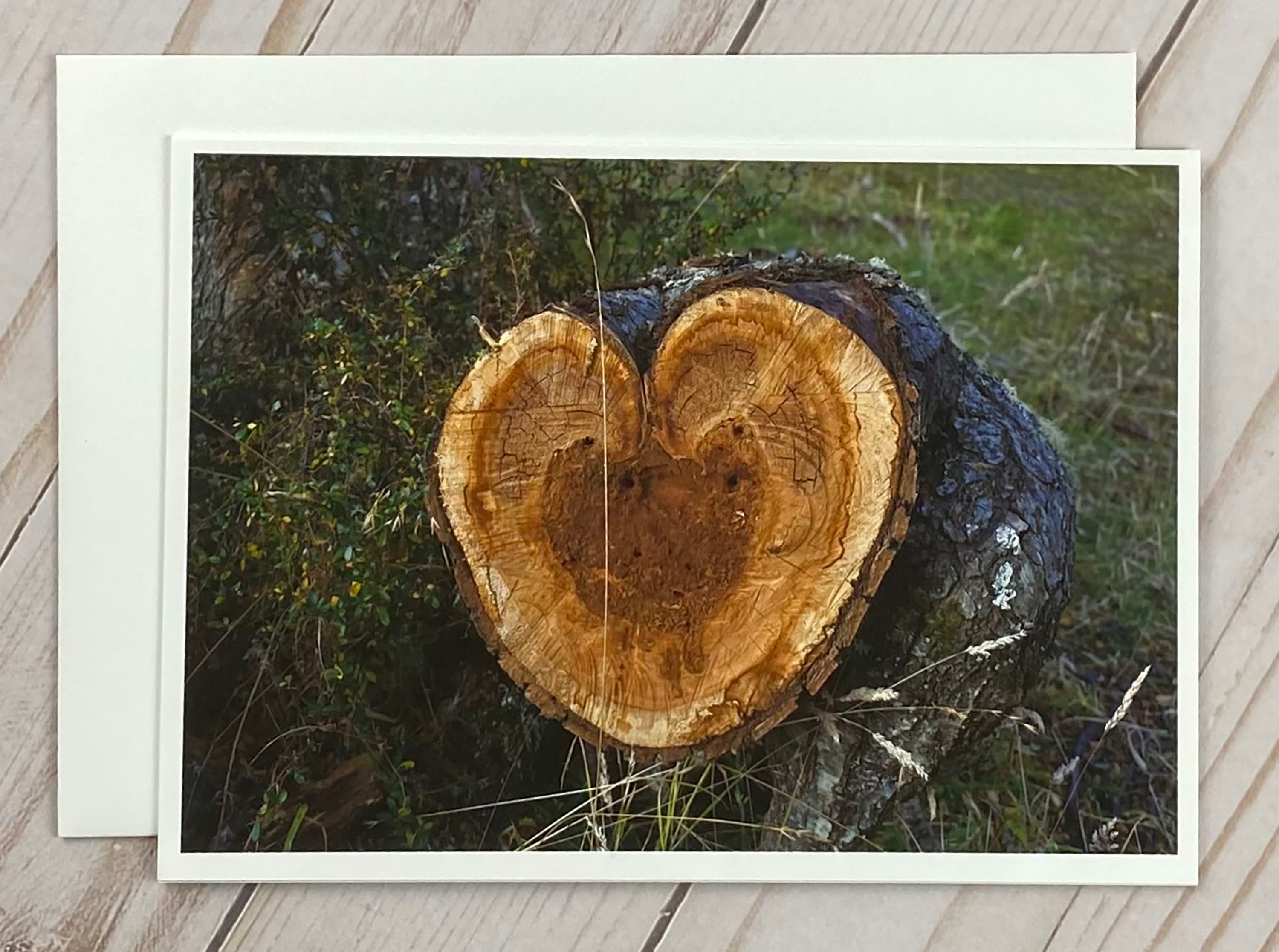 Heart Carved In Tree Stump