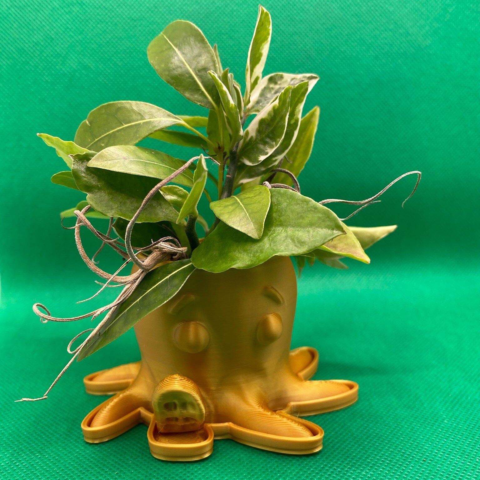 3D Printed Octopus Planter With Saucer / Tray * Home and Office * Gift ...