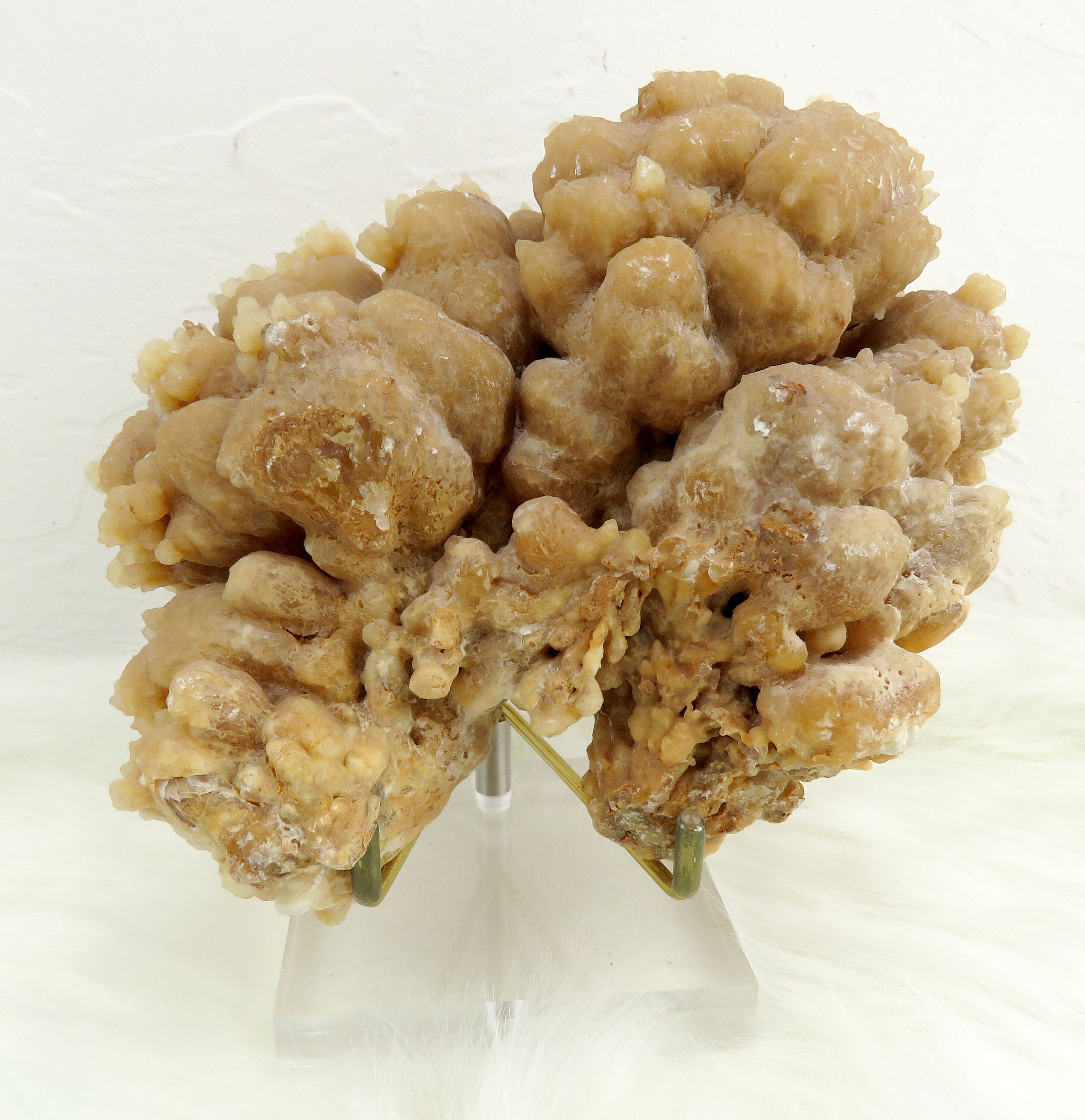 RARE Large Botryoidal Cave Calcite Aragonite Branching Coral - Etsy