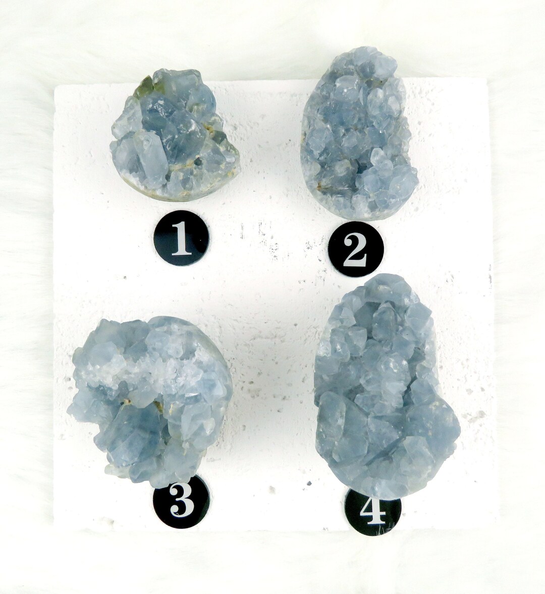 Cute Small Palm Size Celestite Celestine Crystal Geode Clusters Raw ...