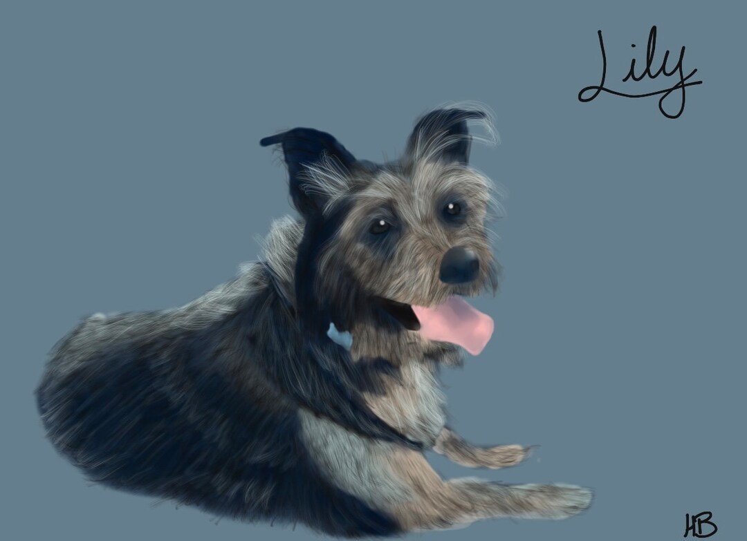 Custom Digital Artwork - Etsy